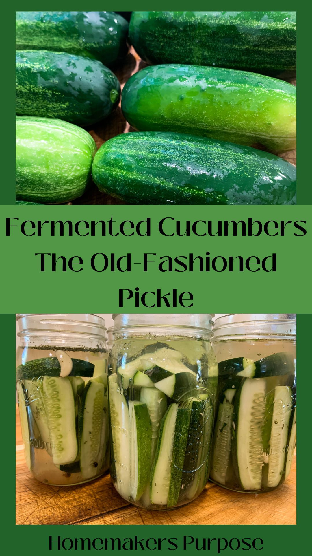 Fermented Cucumbers - Old-Fashioned Pickles - Homemakers Purpose