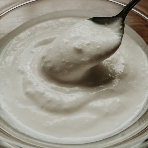 Raw Milk Yogurt - Homemakers Purpose