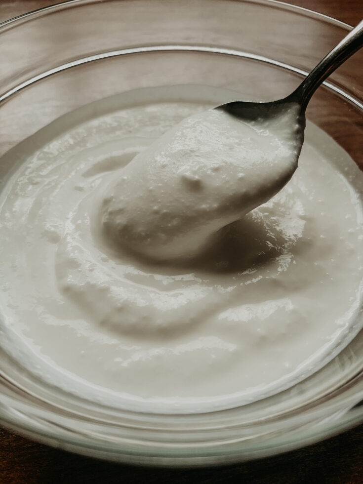Raw Milk Yogurt - Homemakers Purpose